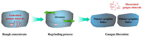 Improved Flotation of Fine Flake Graphite Using a Modified Thickening ...