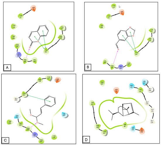 Chemical Characterization, Antioxidant, Insecticidal and Anti ...