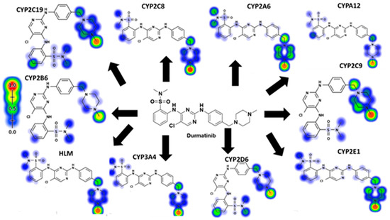 In Vitro and Reactive Metabolites Investigation of Metabolic Profiling ...