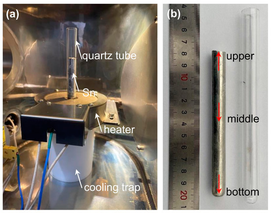 Purification of High-Purity Tin via Vertical Zone Refining