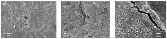 Removal of Azo Dyes Orange II and Reactive Black 5 from Aqueous Solutions by Adsorption on ...
