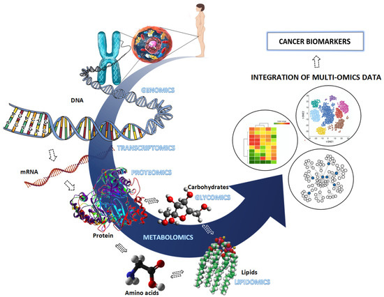 Separations | Free Full-Text | MALDI-TOF MS: A Promising Analytical ...