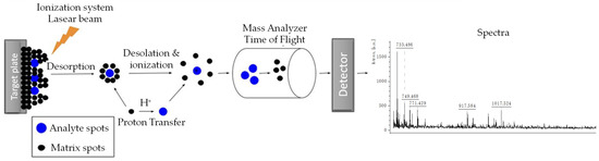 MALDI-TOF MS: A Promising Analytical Approach to Cancer Diagnostics and Monitoring