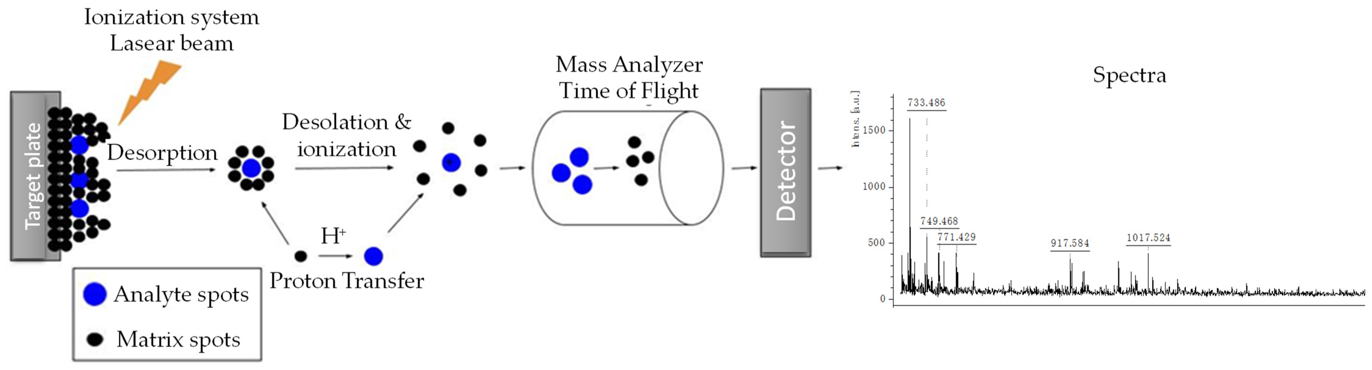 Separations Free Full Text Maldi Tof Ms A Promising Analytical