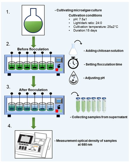 Microalgae Biomass Harvesting Using Chitosan Flocculant: Optimization of Operating Parameters by ...