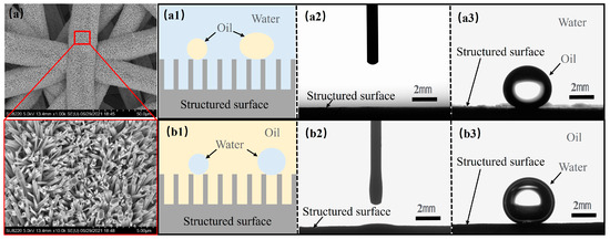 Nanostructure-Based Oil–Water Separation: Mechanism and Status