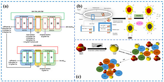 The Extraction and Separation of Scarce Critical Metals: A Review of ...