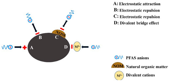 The Removal of Per- and Poly-Fluoroalkyl Substances from Water: A ...