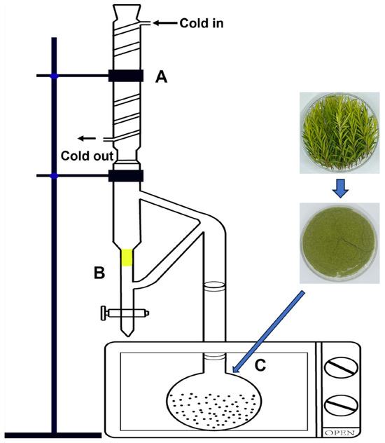 Ultrasonic Pretreatment Combined with Microwave-Assisted ...