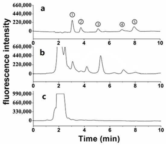 Packed-Nanofiber Solid-Phase Extraction Coupled with High-Performance ...