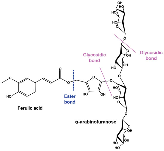 Separations | Free Full-Text | Ferulic Acid—A Brief Review of Its ...