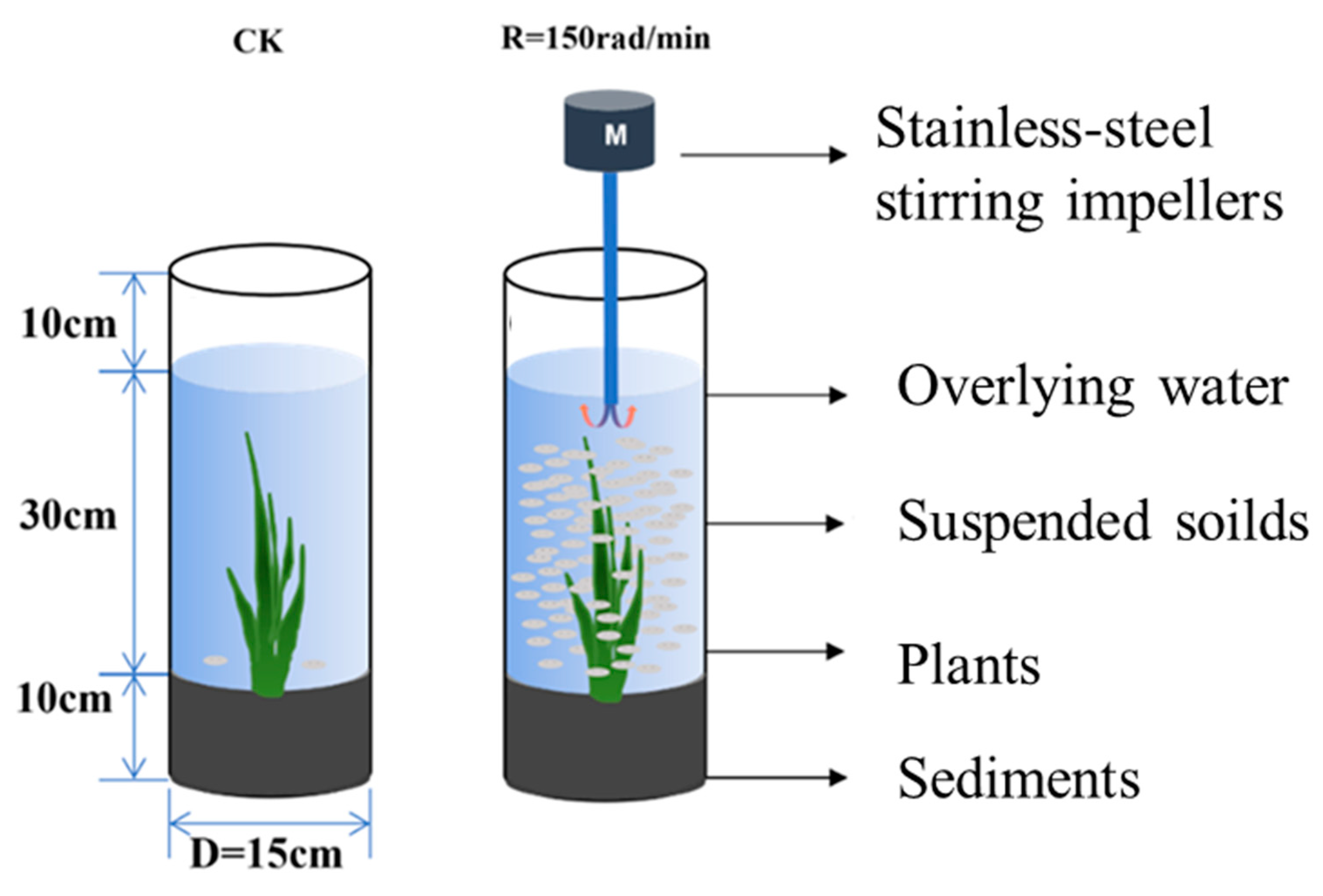 Study on Phosphorus Variability Characteristics and Response Mechanism ...