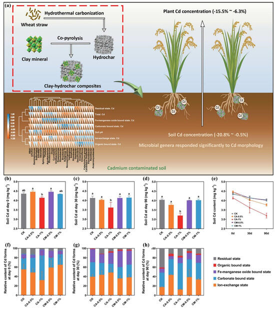 Research Progress on Physical and Chemical Remediation Methods for the ...