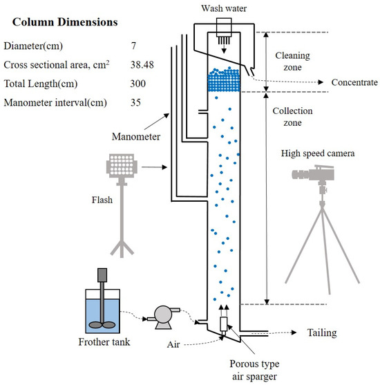 Estimation of Bubble Size and Gas Dispersion Property in Column Flotation