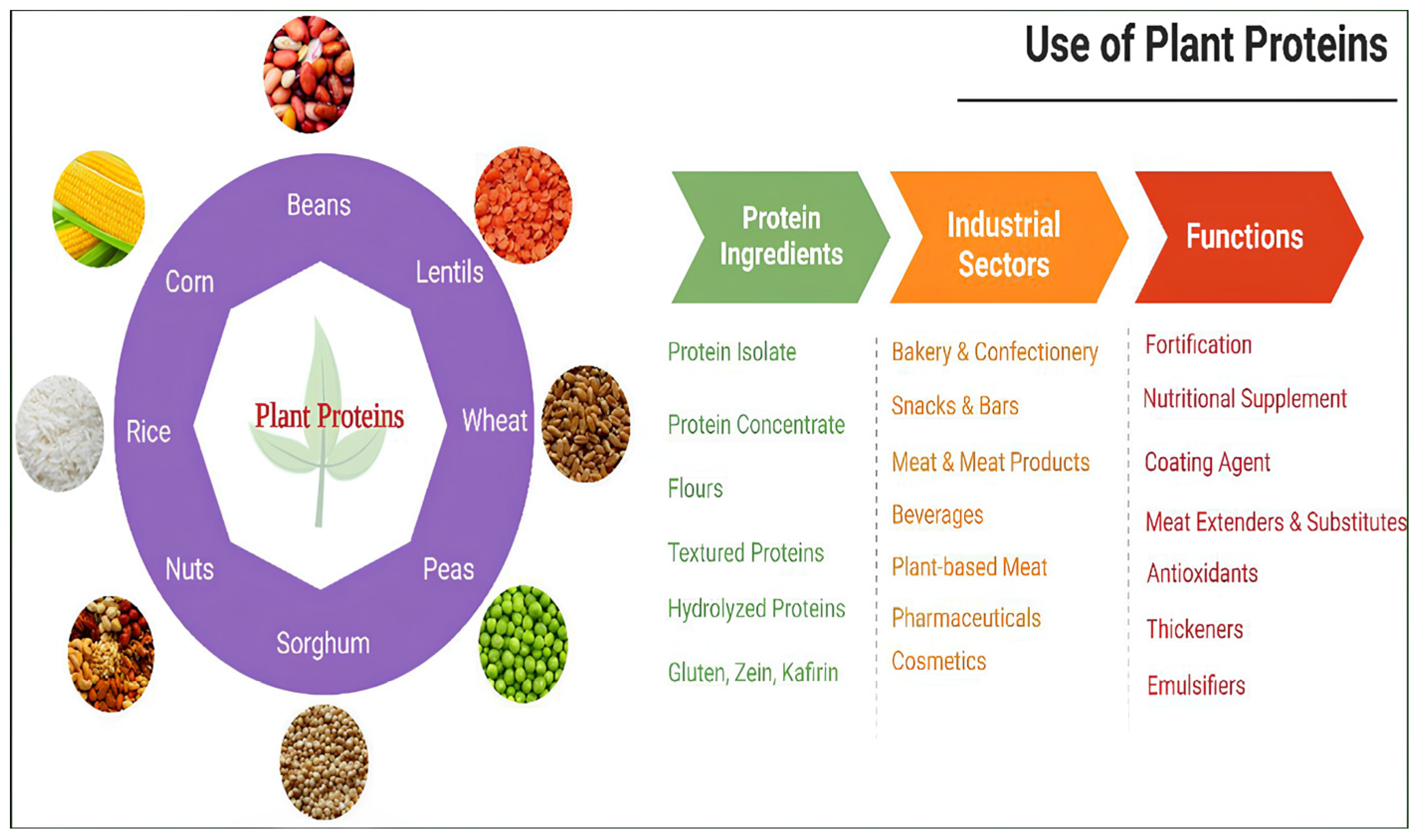 Developments in the Dry Fractionation of Plant Components: A Review