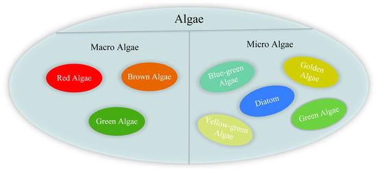 Production of Algae-Derived Biochar and Its Application in Pollutants ...