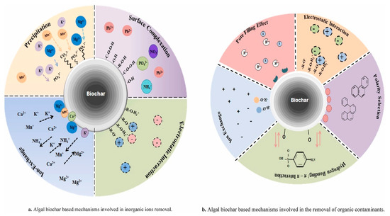 Production of Algae-Derived Biochar and Its Application in Pollutants ...