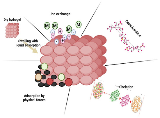 A Review of Hydrogel Application in Wastewater Purification