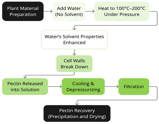 Greener Pectin Extraction Techniques: Applications and Challenges