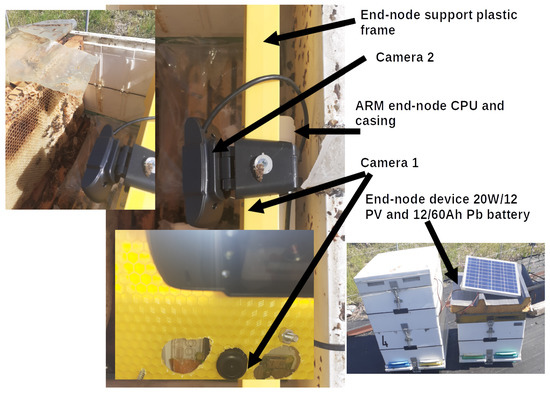 Deep Learning Beehive Monitoring System for Early Detection of the ...