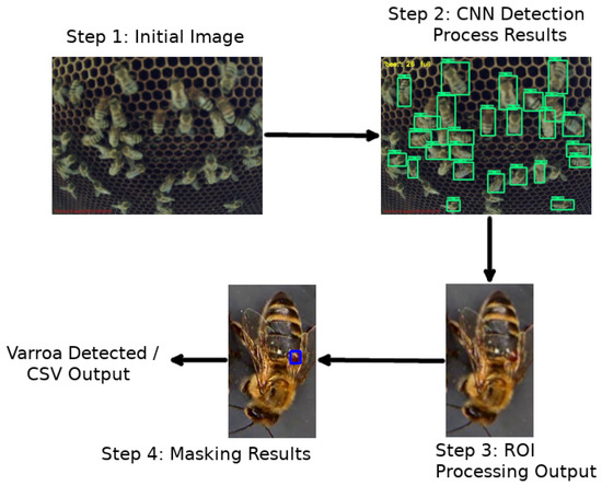 Signals | Free Full-Text | Deep Learning Beehive Monitoring System for ...