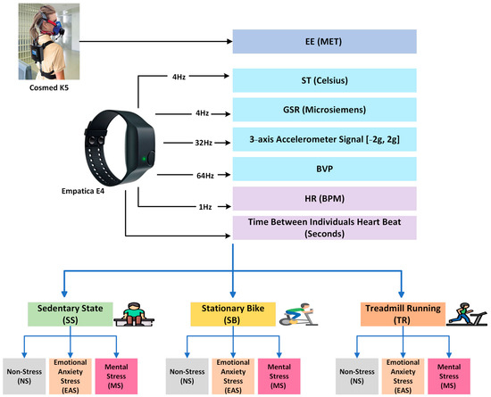 Multi-Task Classification of Physical Activity and Acute Psychological ...