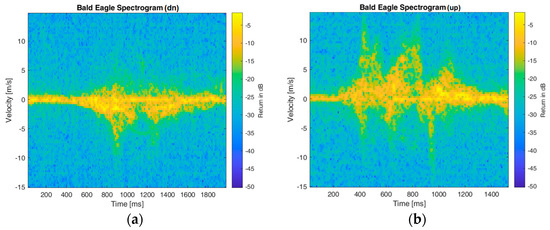 Classification and Discrimination of Birds and Small Drones Using Radar ...