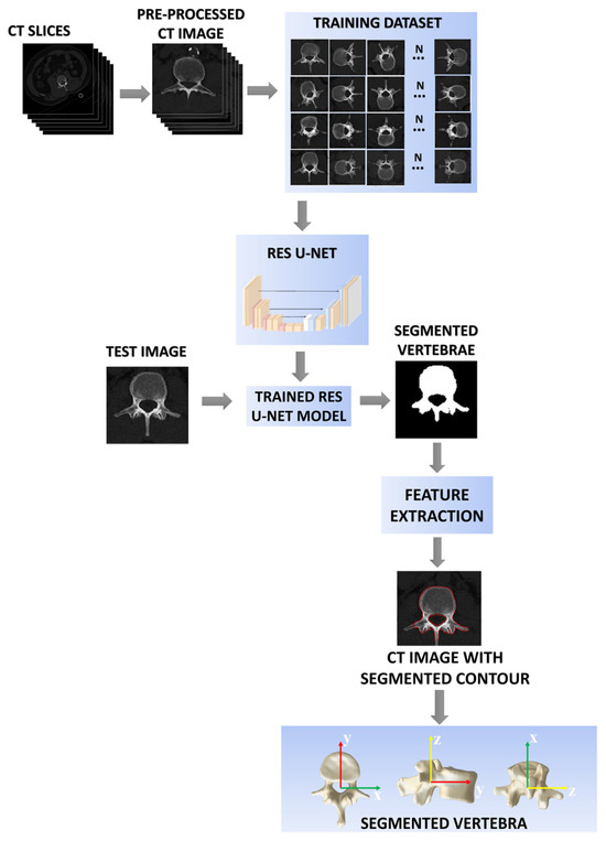 Identification of Vertebrae in CT Scans for Improved Clinical Outcomes ...