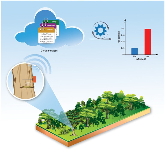 TreeVibes: Modern Tools for Global Monitoring of Trees for Borers