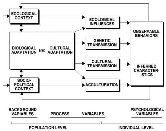Berrys Acculturation Model