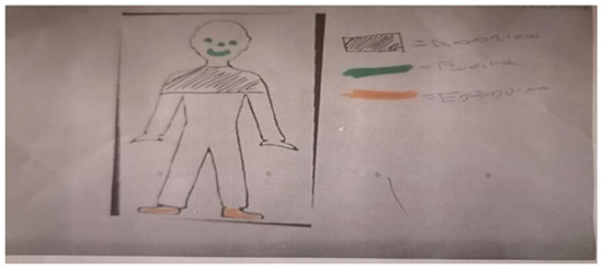 Exploring Migrant Students’ Attitudes towards Their Multilingual ...