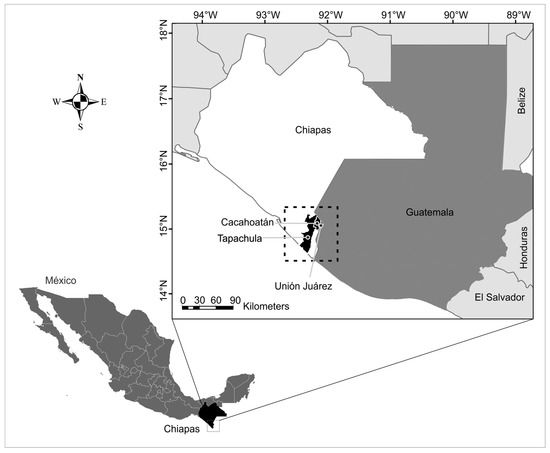 Coffee, Migration and Climatic Changes: Challenging Adaptation ...