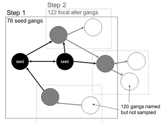 Social Sciences | Free Full-Text | Evolving Patterns of Aggression ...
