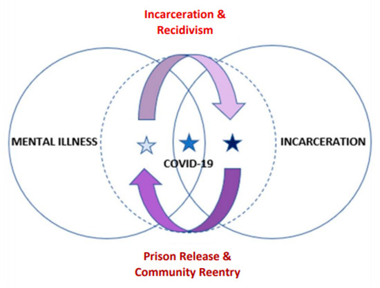 Social Sciences | Free Full-Text | COVID-19, Mental Illness, and ...