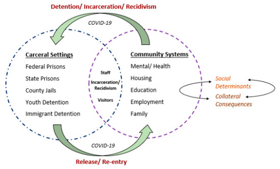 Social Sciences | Free Full-Text | COVID-19, Mental Illness, and ...