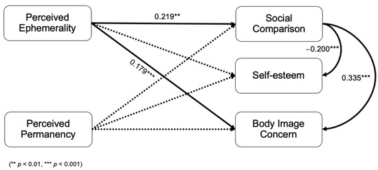 Social Media Affordances of Ephemerality and Permanence: Social ...