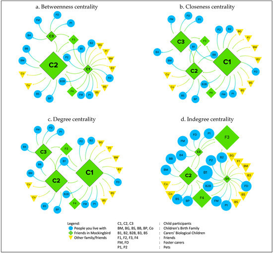 Socio-Developmental Network Analysis: Establishing a Research Method to ...