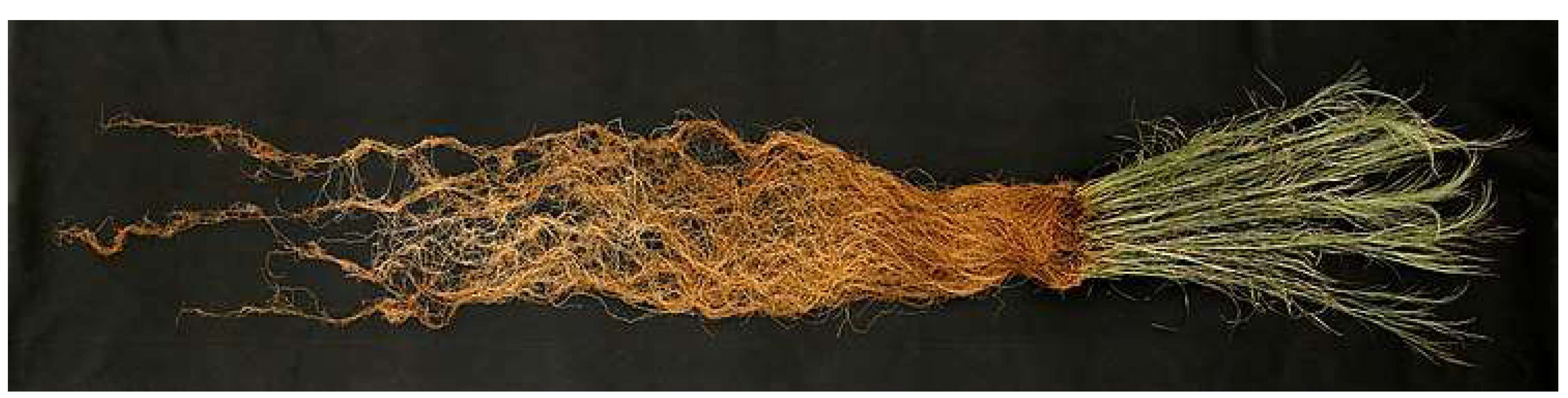 Social Sciences | Free Full-Text | Creating Sustainable Climate Change ...