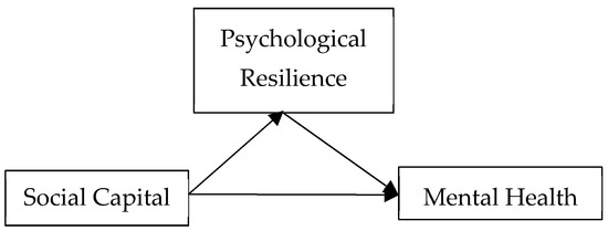 The Mediating Effect of Psychological Resilience between Individual ...