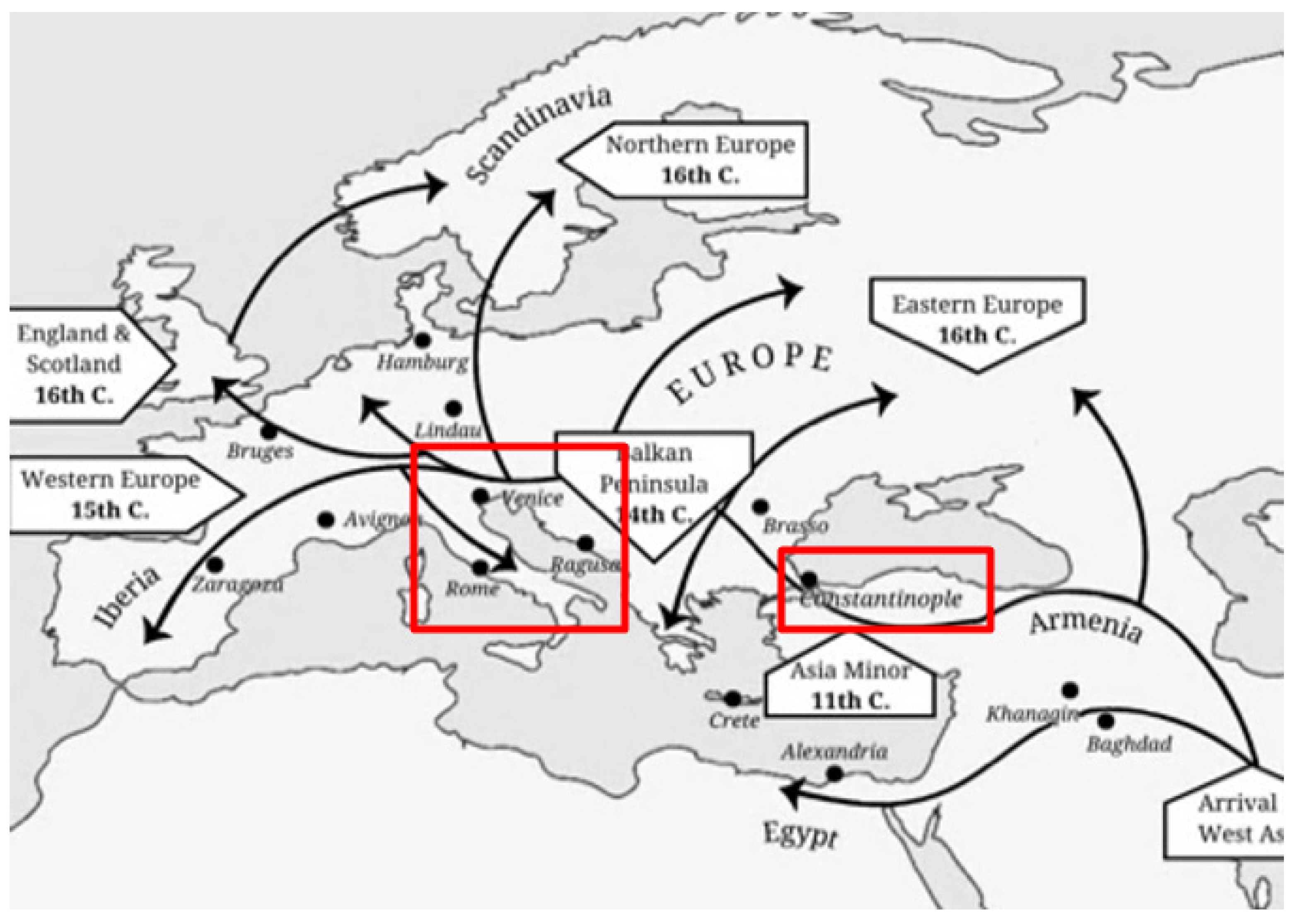 The Roma Population: Migration, Settlement, and Resilience