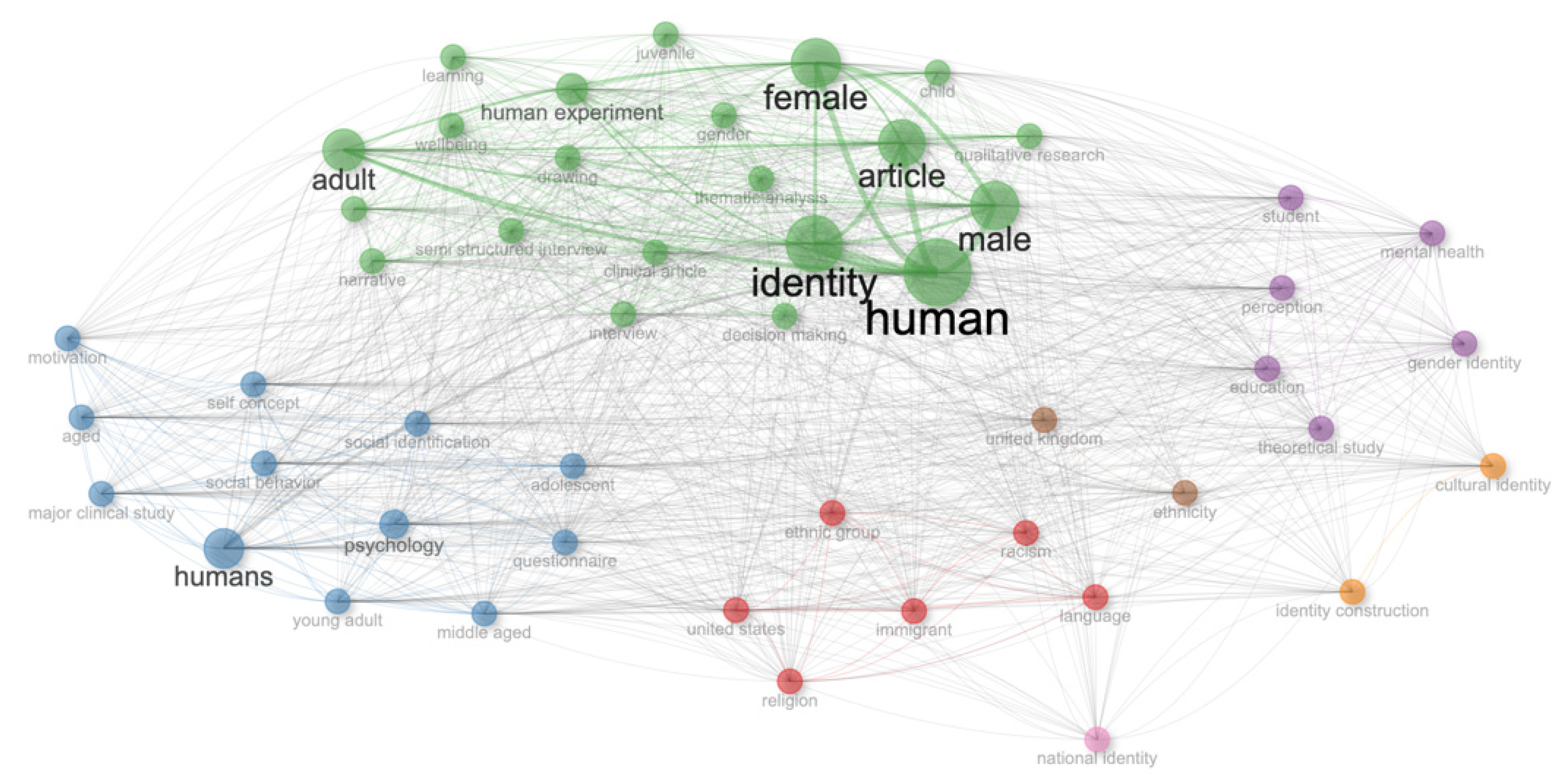 Mapping One Decade of Identity Studies: A Comprehensive Bibliometric ...