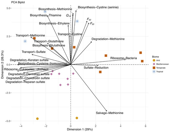 Soil Systems | Free Full-Text | Coupled Biological and Abiotic ...