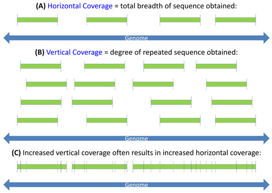 Coming-of-Age Characterization of Soil Viruses: A User’s Guide to Virus ...