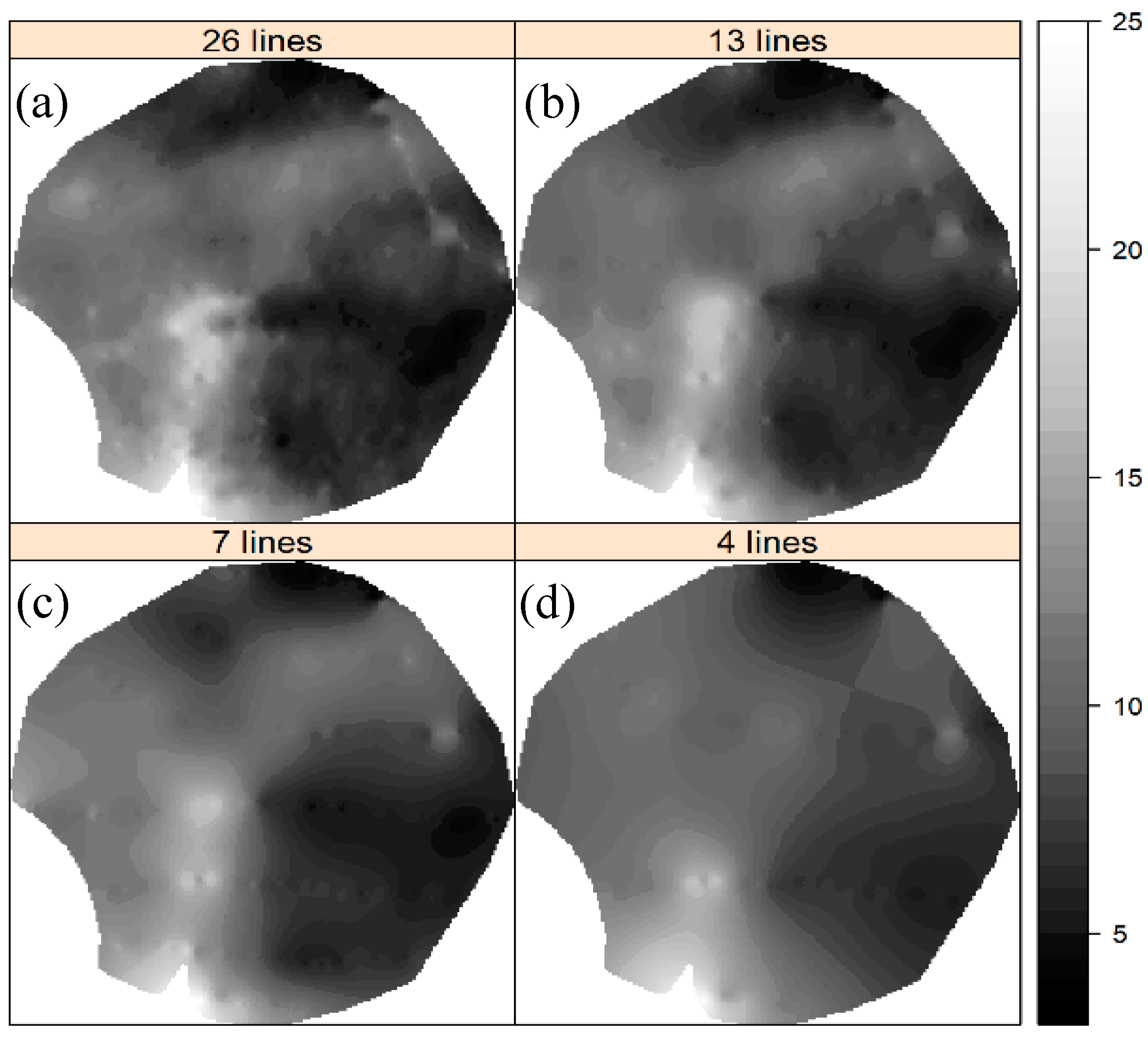 Soil Systems | Free Full-Text | Finding Suitable Transect Spacing and ...