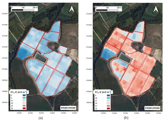 Zoning of a Newly-Planted Vineyard: Spatial Variability of Physico ...