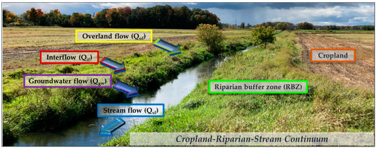 Phosphorus Transport along the Cropland–Riparian–Stream Continuum in ...