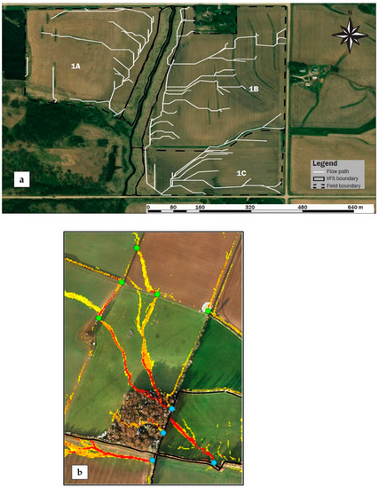 Phosphorus Transport along the Cropland–Riparian–Stream Continuum in ...
