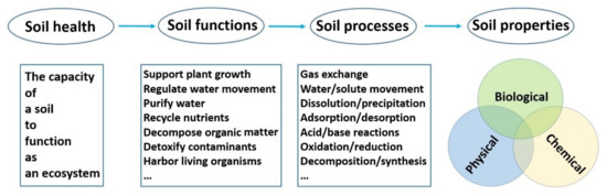 Soil Health Assessment and Management: Recent Development in Science ...