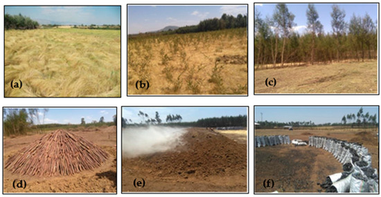 Soil Systems | An Open Access Journal from MDPI