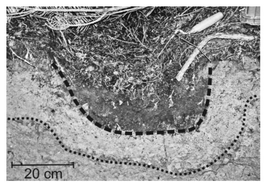 Soil Systems | An Open Access Journal from MDPI